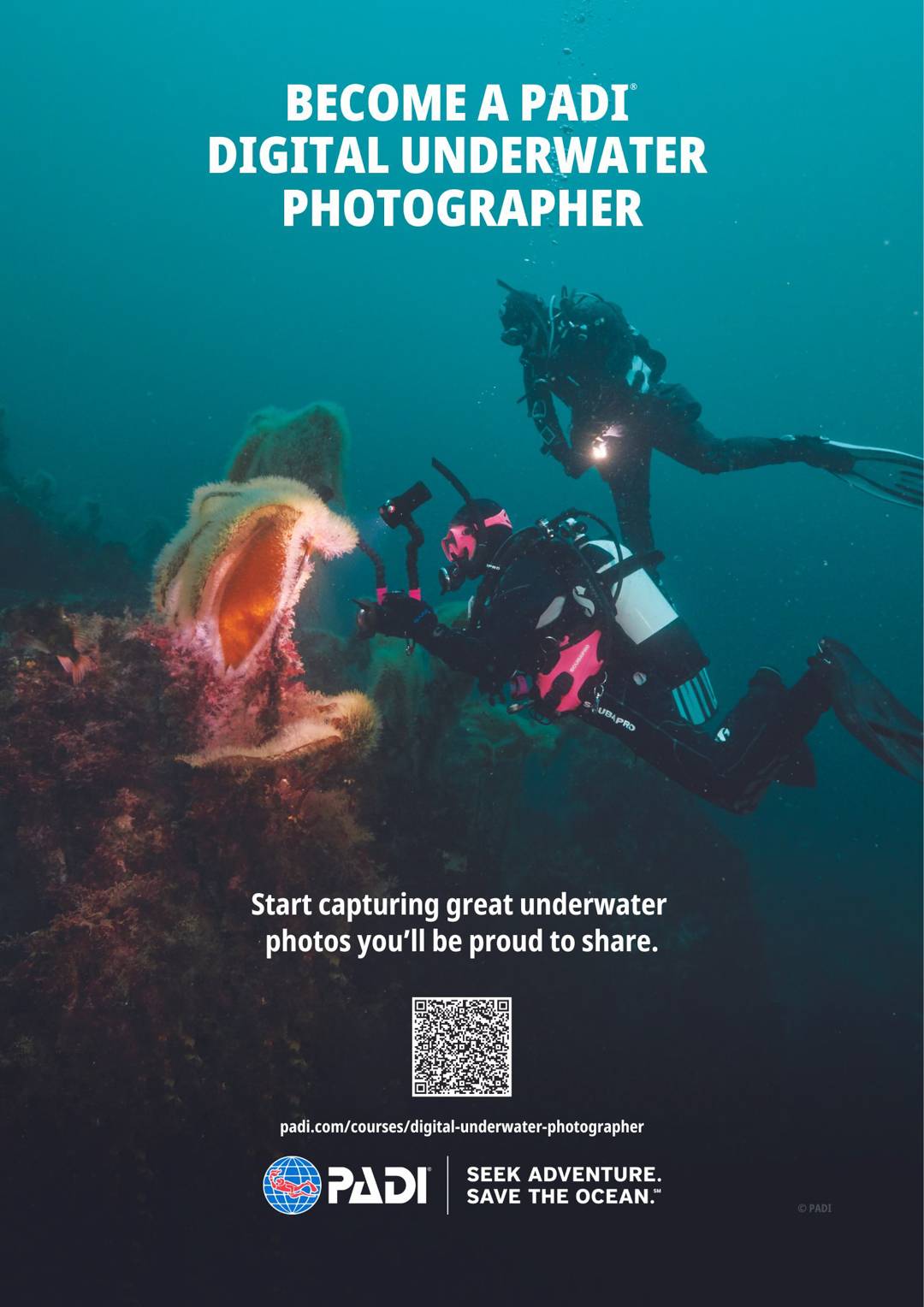 PADI Digital Underwater Photography Course Level 1