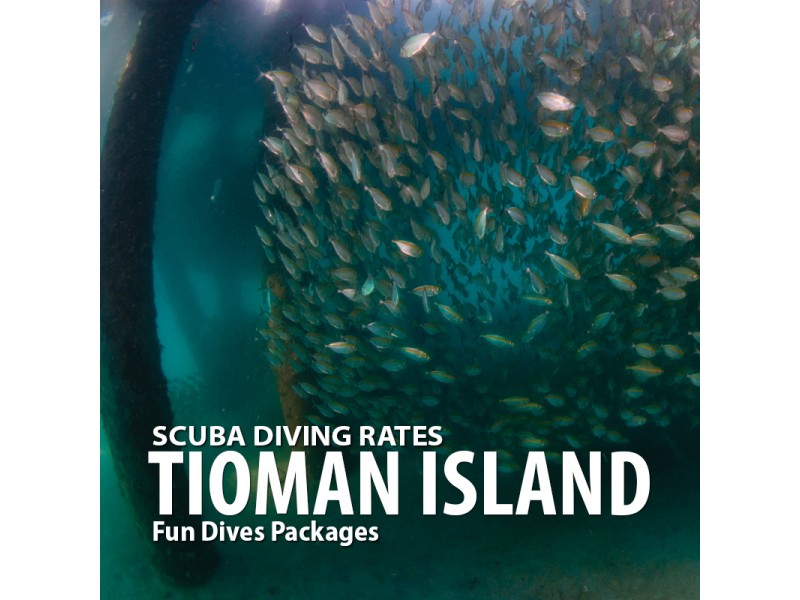 TIOMAN ISLAND SCUBA DIVING RATES