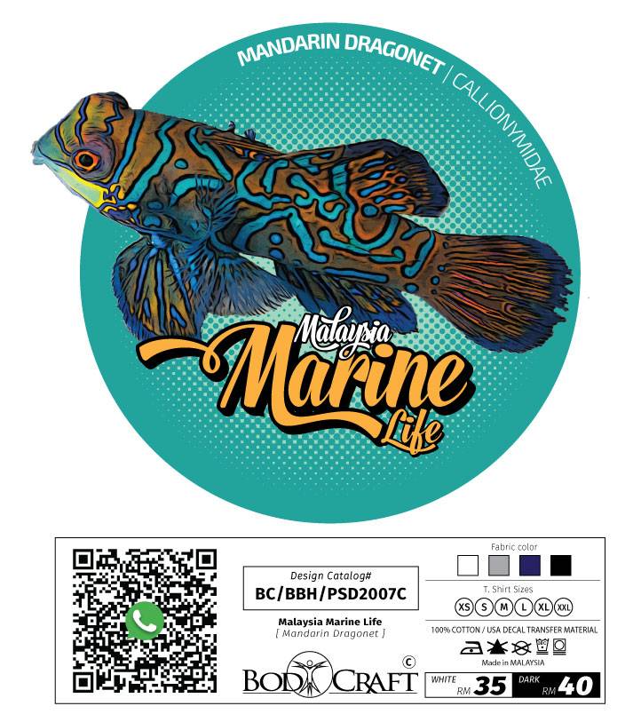 MALAYSIA MARINE LIFE_Mandarin Dragonet