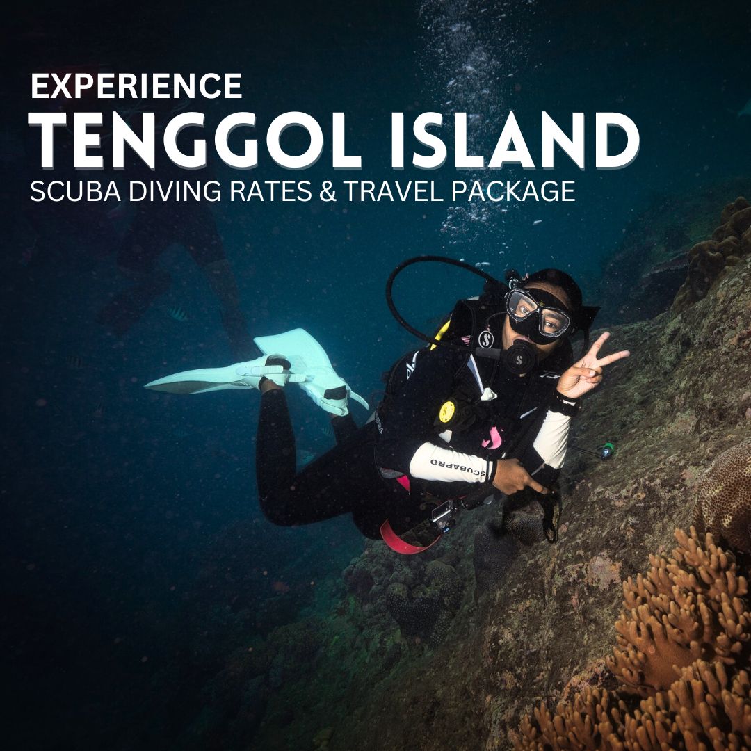Tenggol Island